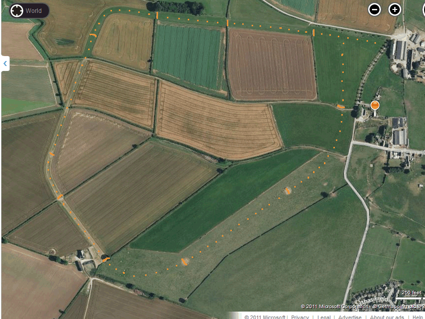 Didmarton | Pointing West Mercian