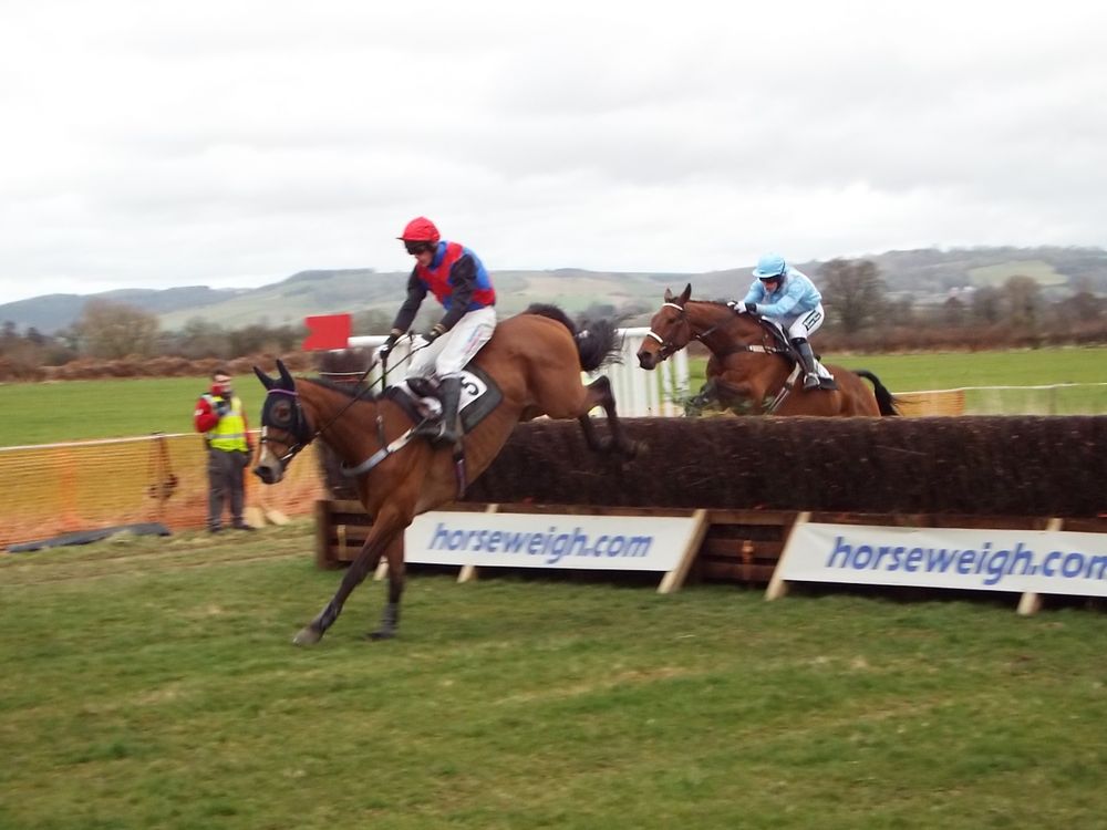FIRST WIN FOR ED BAILEY AT MAISEMORE | Pointing West Mercian