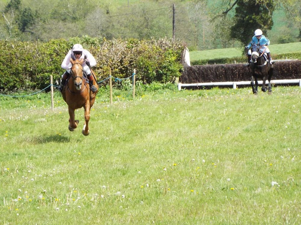 UPPER SAPEY IS A LUCKY COURSE FOR SAM JUKES | Pointing West Mercian