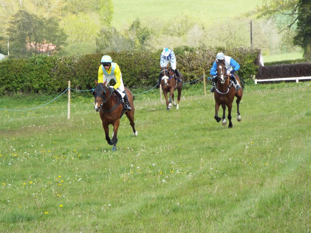 UPPER SAPEY IS A LUCKY COURSE FOR SAM JUKES | Pointing West Mercian