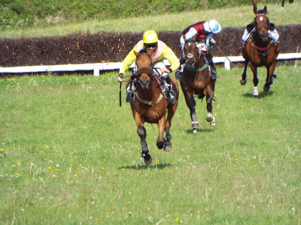 UPPER SAPEY IS A LUCKY COURSE FOR SAM JUKES | Pointing West Mercian