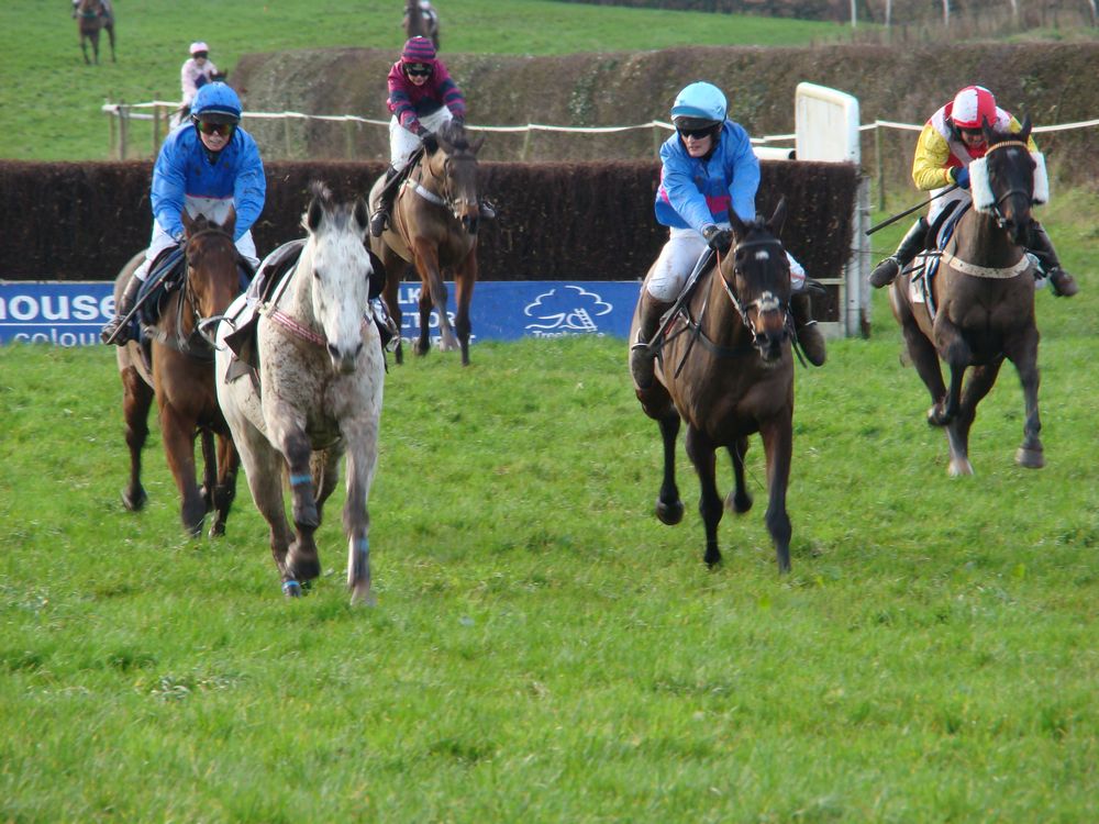 TOP CLASS RACING AT CHADDESLEY CORBETT – DESPITE THE MUD! | Pointing ...