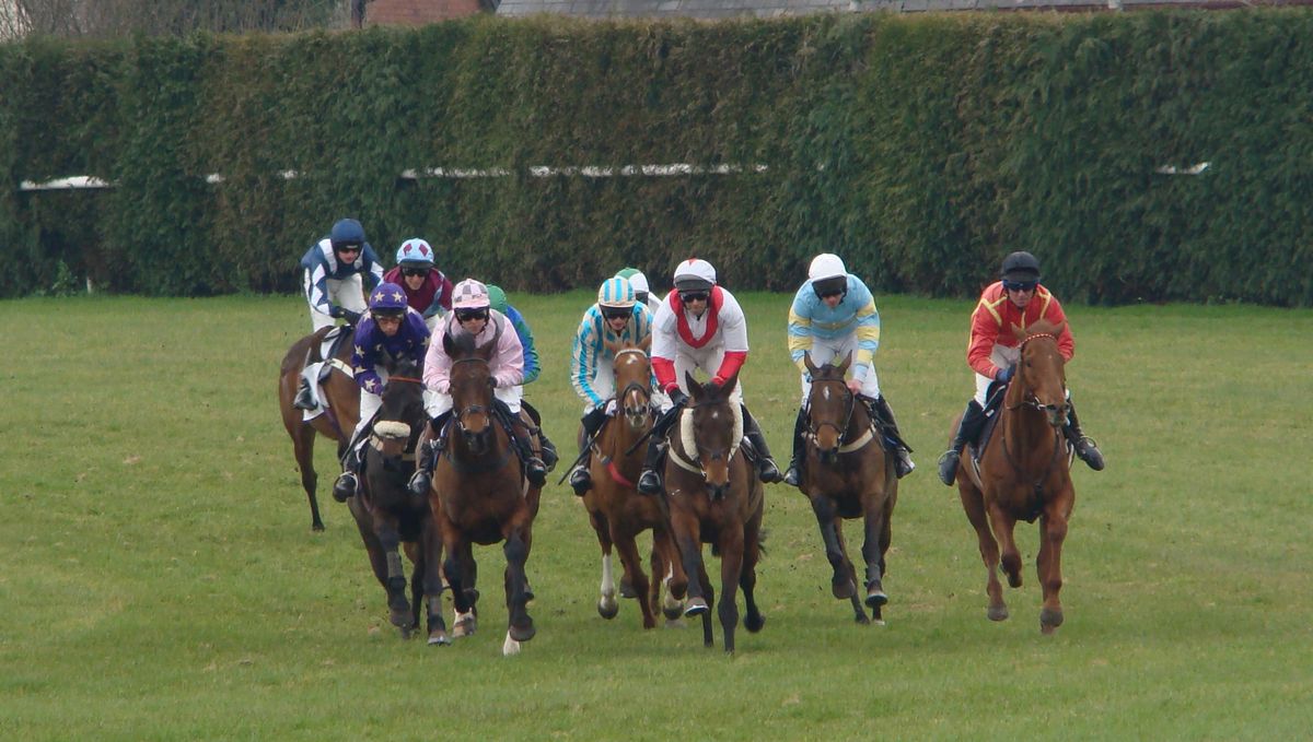 2016-2017 PREVIEW | Pointing West Mercian