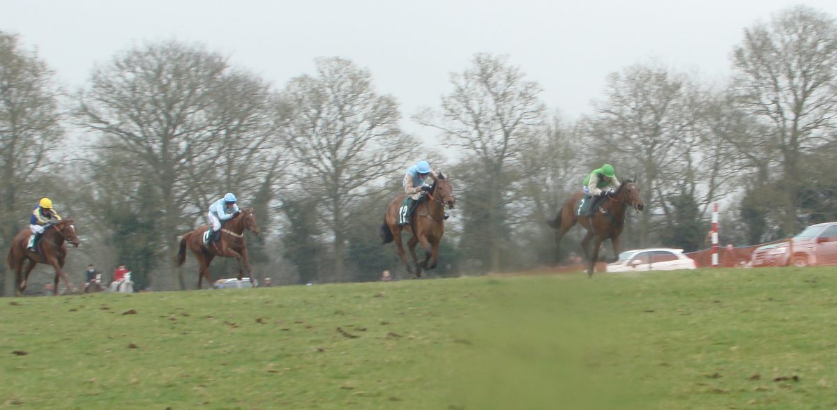 SAM JUKES PROVES UNBEATABLE AT ANDOVERSFORD RACES | Pointing West Mercian