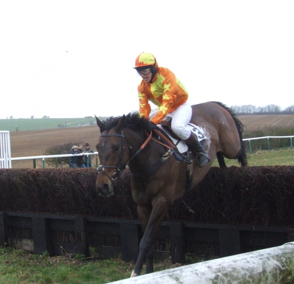 SAM JUKES PROVES UNBEATABLE AT ANDOVERSFORD RACES | Pointing West Mercian