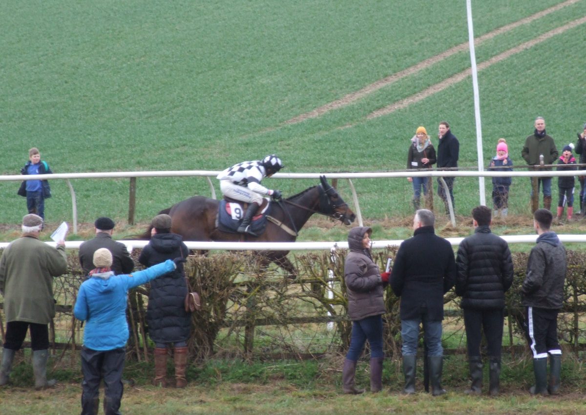SAM JUKES PROVES UNBEATABLE AT ANDOVERSFORD RACES | Pointing West Mercian