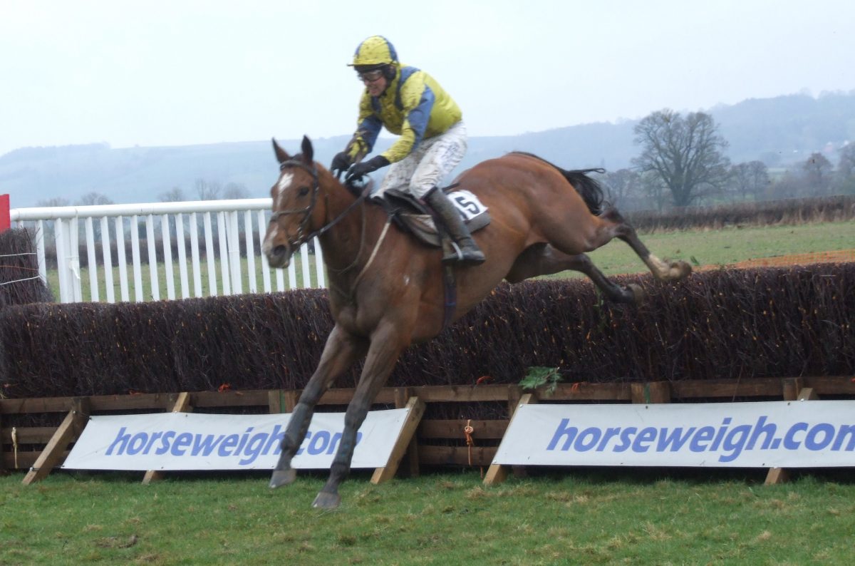 SAM JUKES PROVES UNBEATABLE AT ANDOVERSFORD RACES | Pointing West Mercian