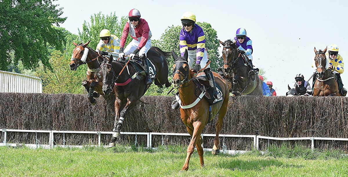 Pointing West Midlands | The official site for all West Midland Area ...