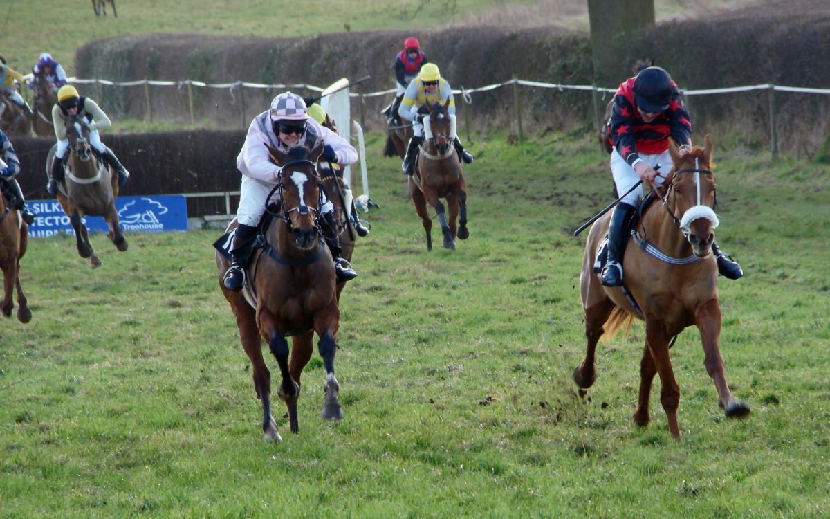 Pointing West Midlands | The official site for all West Midland Area ...