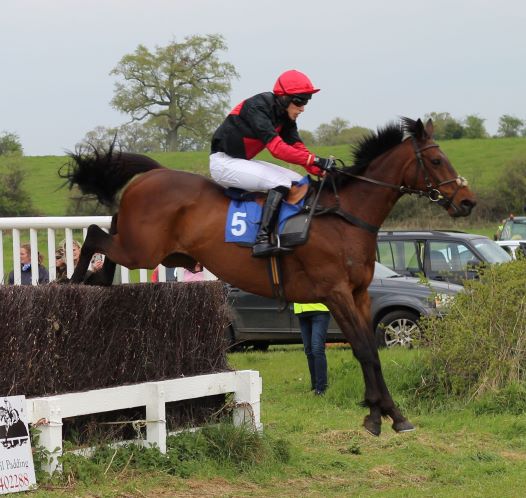 FRAN POOLE WINS AGAIN AT WOODFORD | Pointing West Mercian