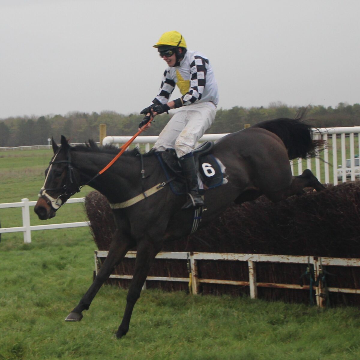 A good day for WM horses at Larkhill | Pointing West Mercian