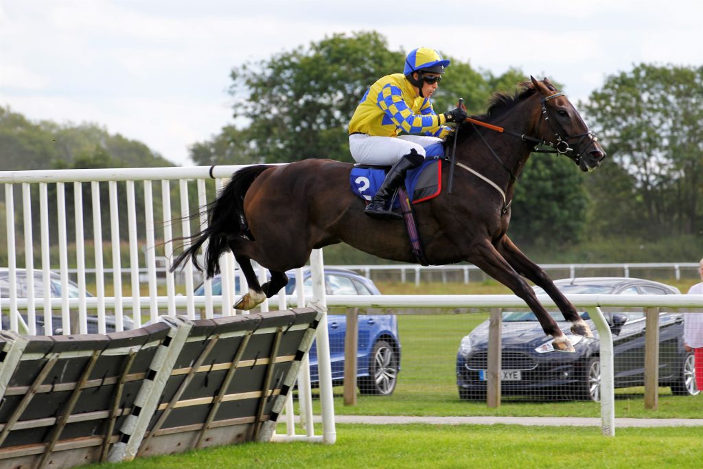 Cheltenam de Vaige loses maiden hurdle tag | Pointing West Mercian