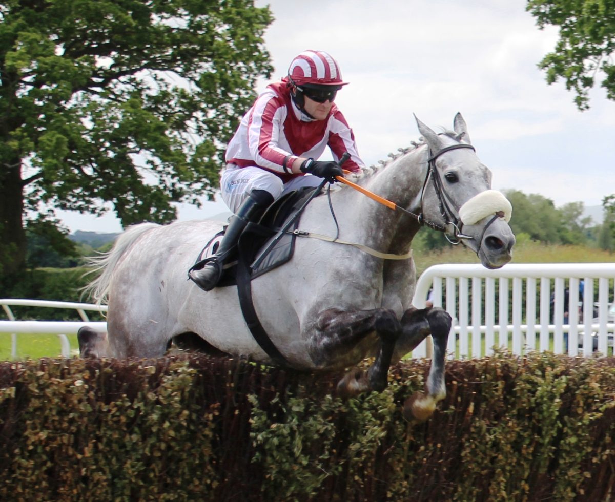 Albrighton and Woodland Chaddesley Corbett report from Andrew King ...